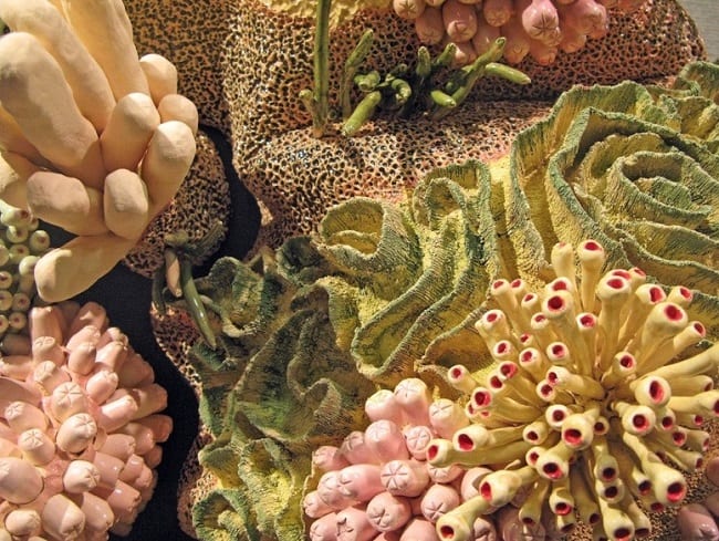 Exhibition | Courtney Mattison: Our Changing Seas III | CFile ...