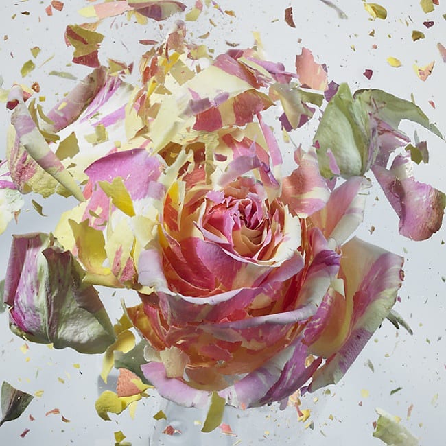 Foto File | Martin Klimas: Smashing Photography | CFile - Contemporary ...