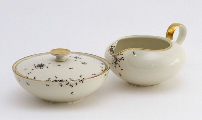 Porcelain Plates Swarming with Hand-Painted Ants